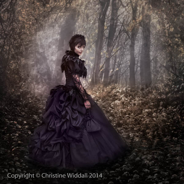 Gothic 1 - Photography by Christine Widdall