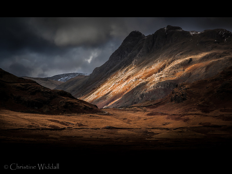 Bpe Exhibition Accepted Images 2023 Christine Widdall